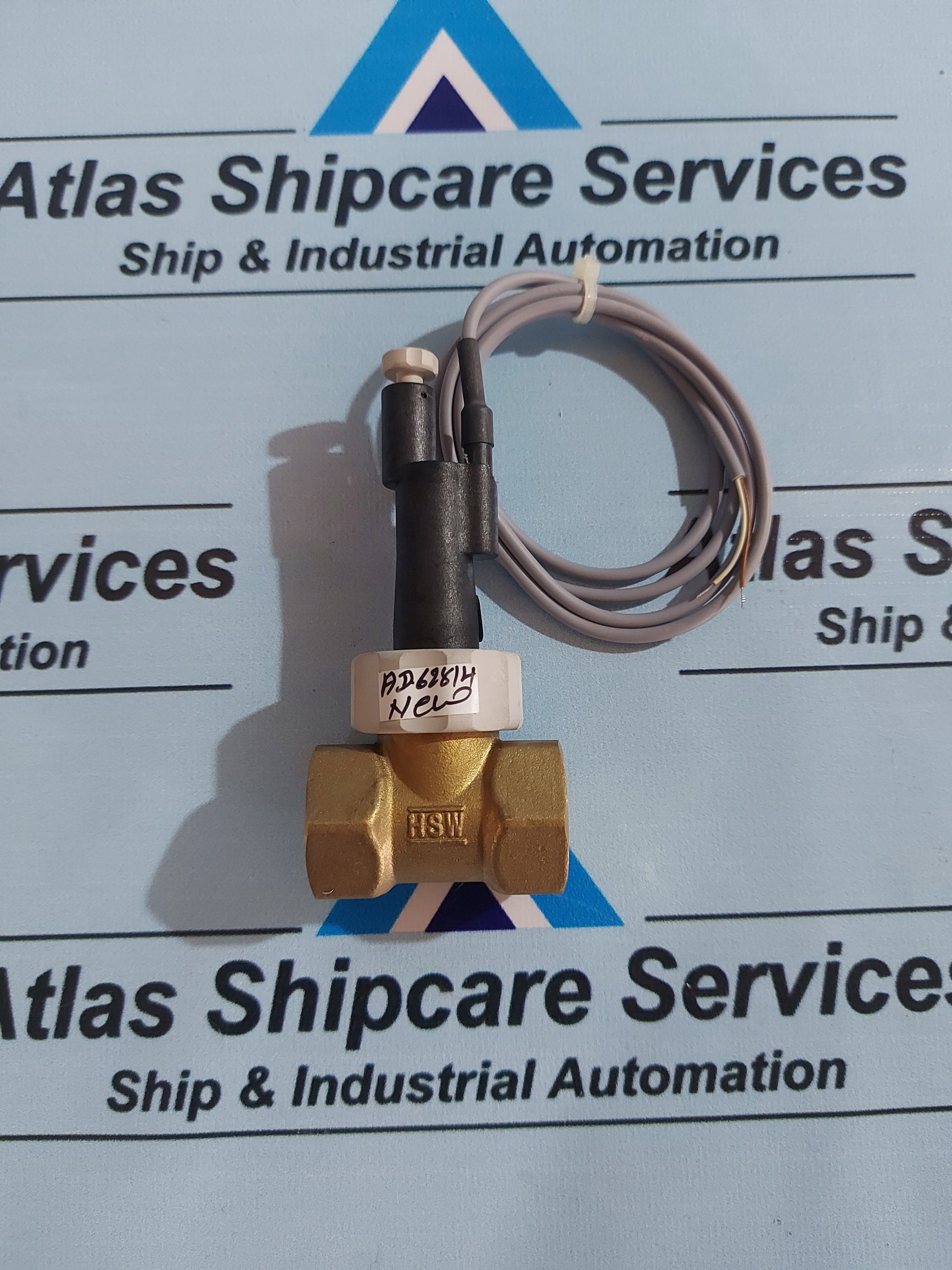 HENKE SASS WOLF DW-LM DN10 FLOW SWITCH – Atlas Shipcare Services